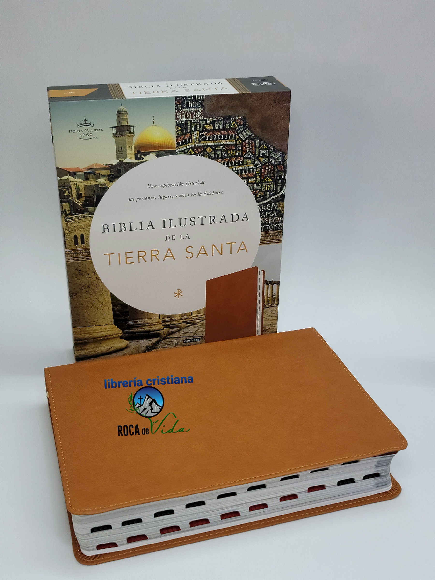 Biblia Ilustrada Reina Valera 196O De Tierra Santa Café Con Índice ...